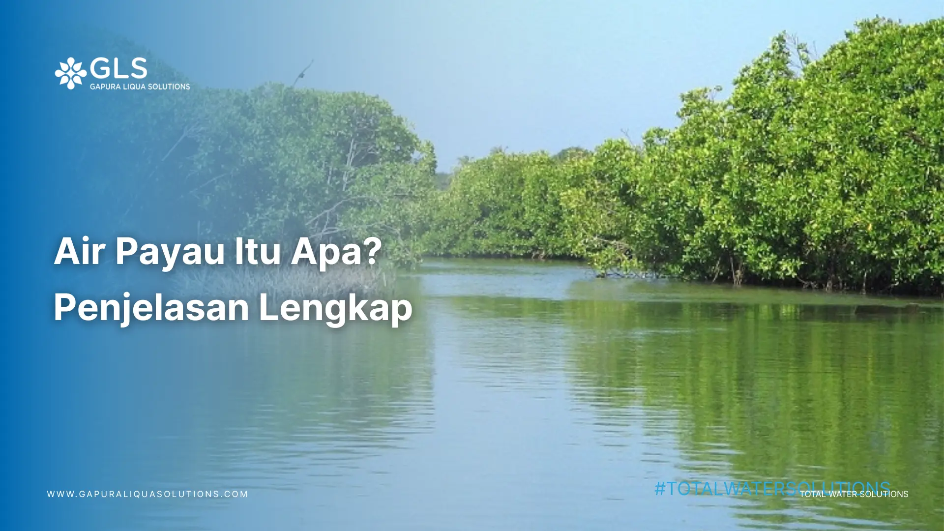 Air Payau Itu Apa? Penjelasan Lengkap - Gapura Liqua Solutions